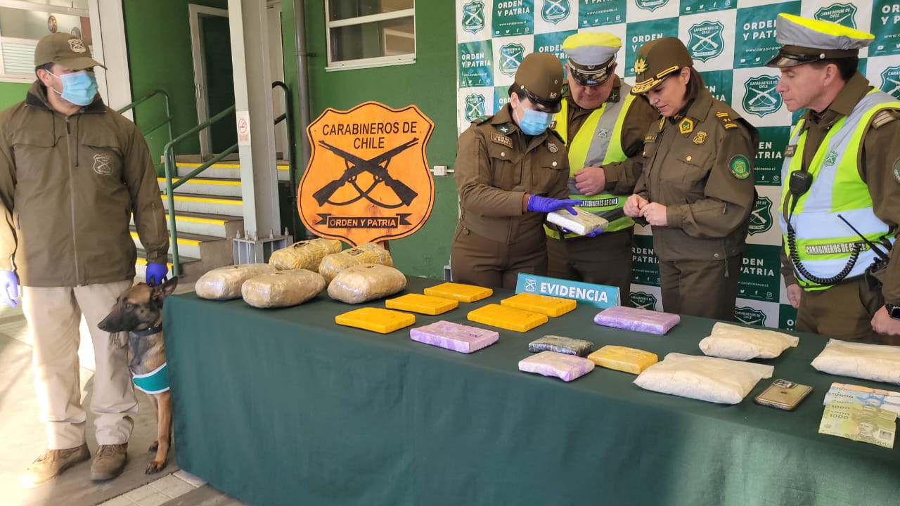 San Nicolás: Carabineros de Tenencia Carreteras y OS7 Ñuble incautaron más de 51 mil dosis de ...
